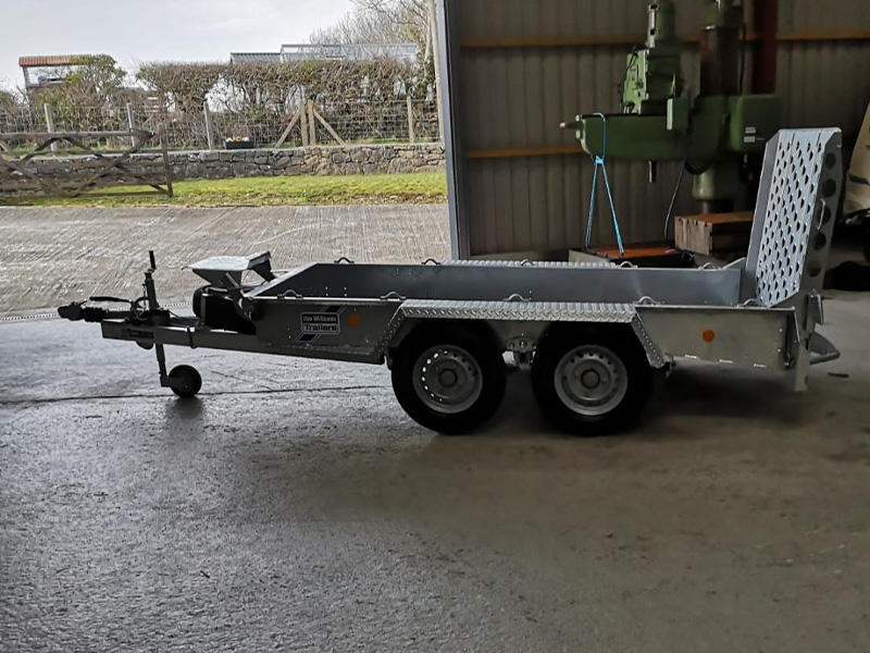 NEW IFOR WILLIAMS GH94 | Bethel Plant Sales, New Plant